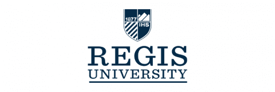 Top 25 Best Online Masters in Accounting Degrees for 2022